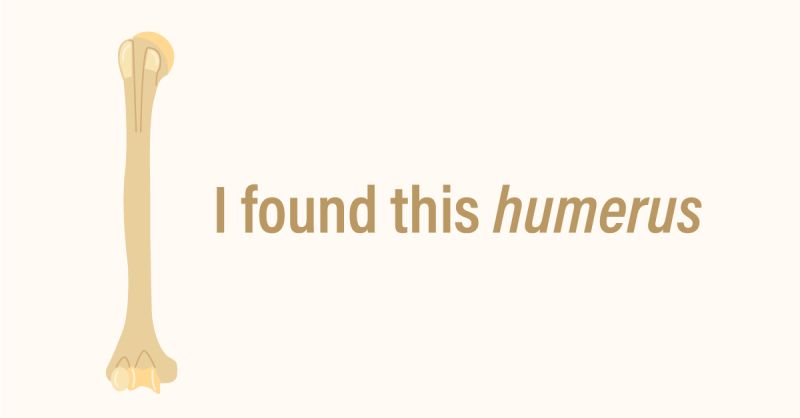 20 X-Ray Jokes to Tickle Your Funny Bone